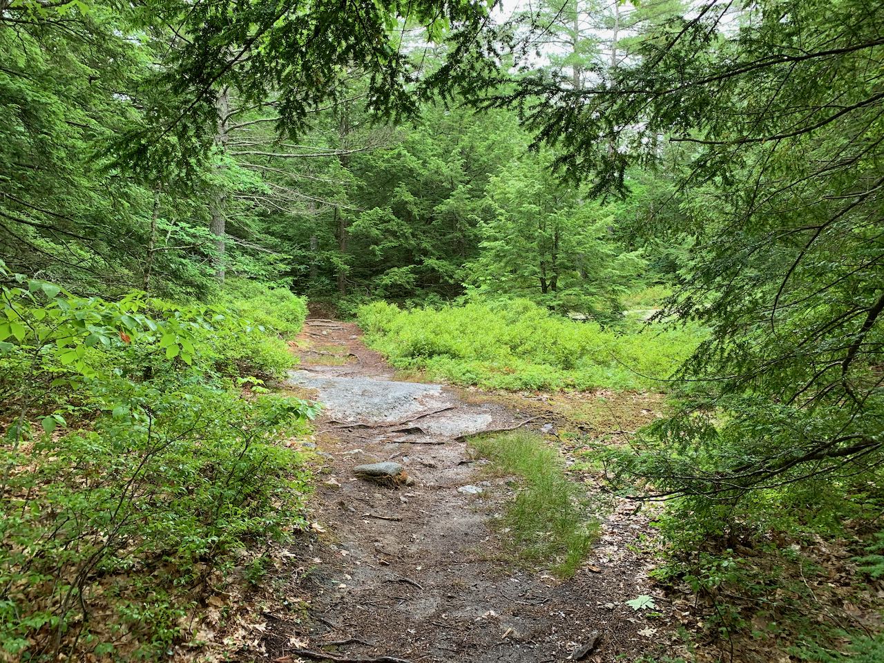 stonehouse-pond-nh-family-hikes