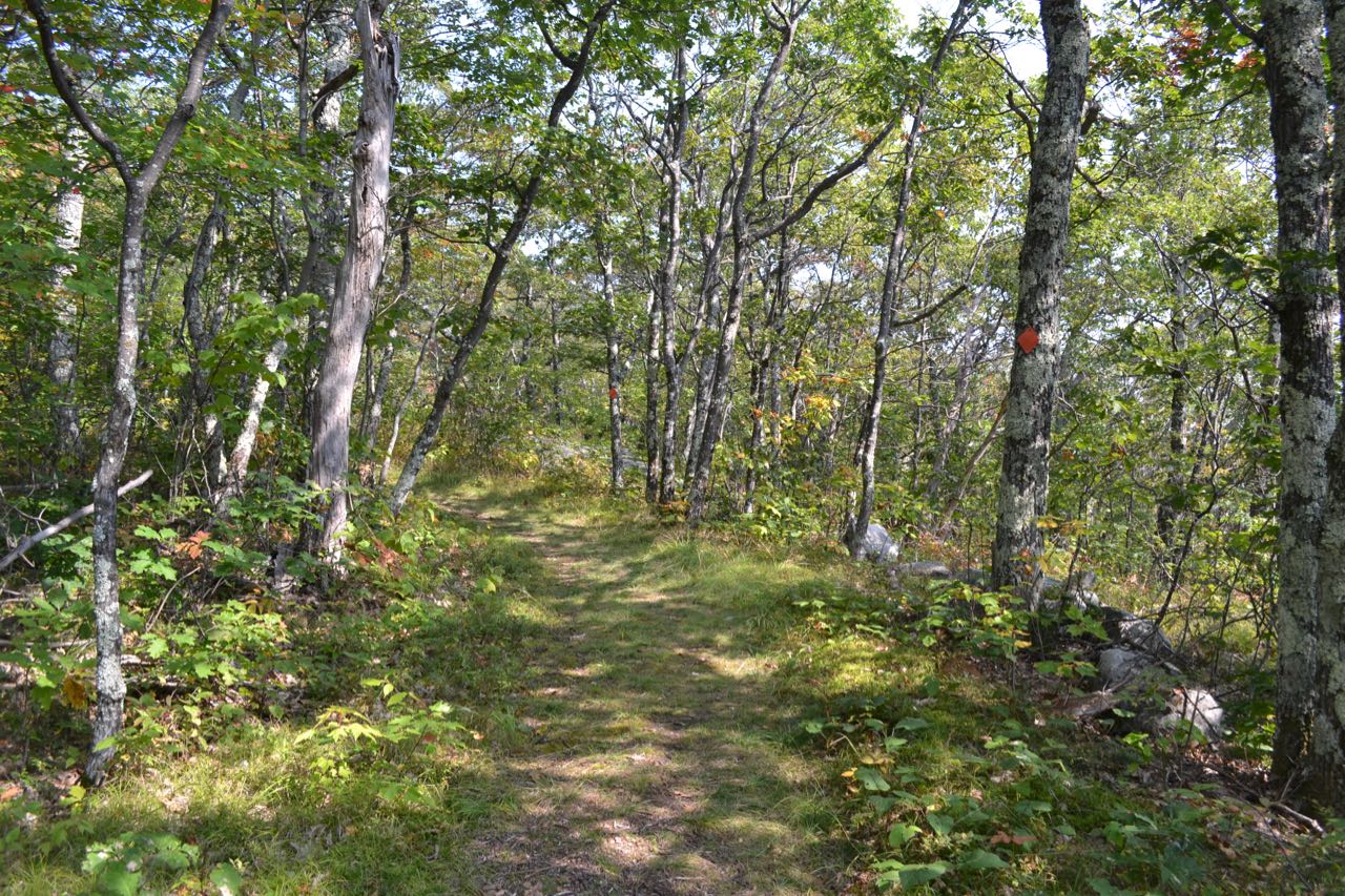 Turtleback Mountain NH Family Hikes turtleback-mountain-nh-family-hikes